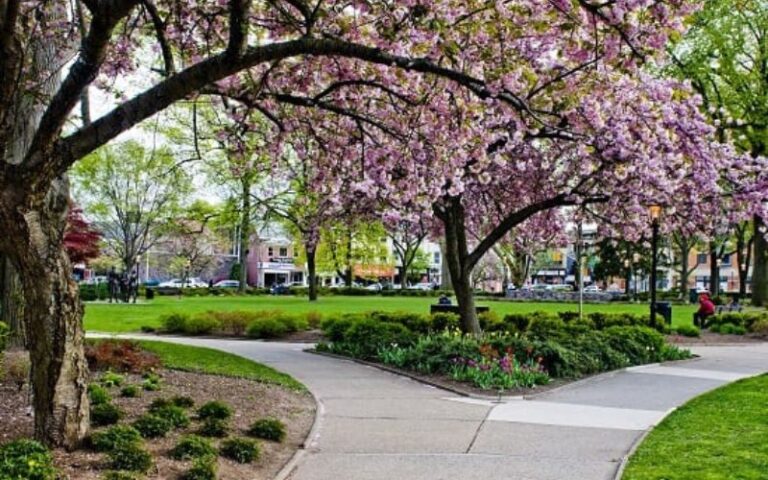 Madison, NJ Tree Care Service | Tree Removal, Storm Cleanup, Pruning ...