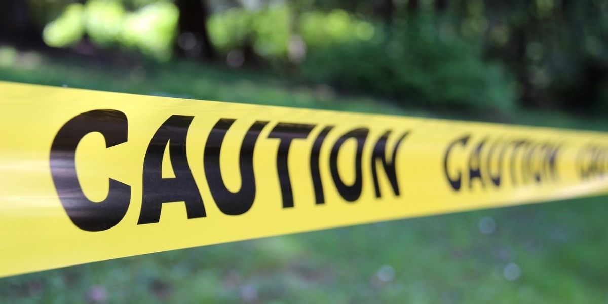 How to Tell if Your Tree is Dangerous - Alpine Tree Service