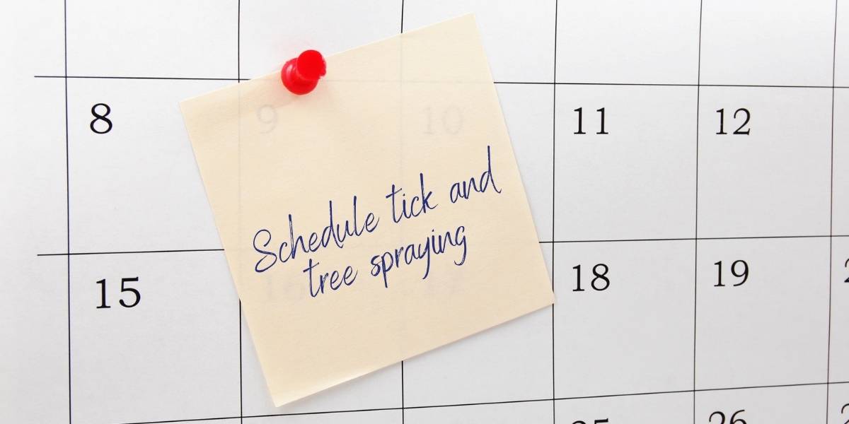 Why Timing for Insect Pest & Tree Disease Treatments Aren’t Based on ...