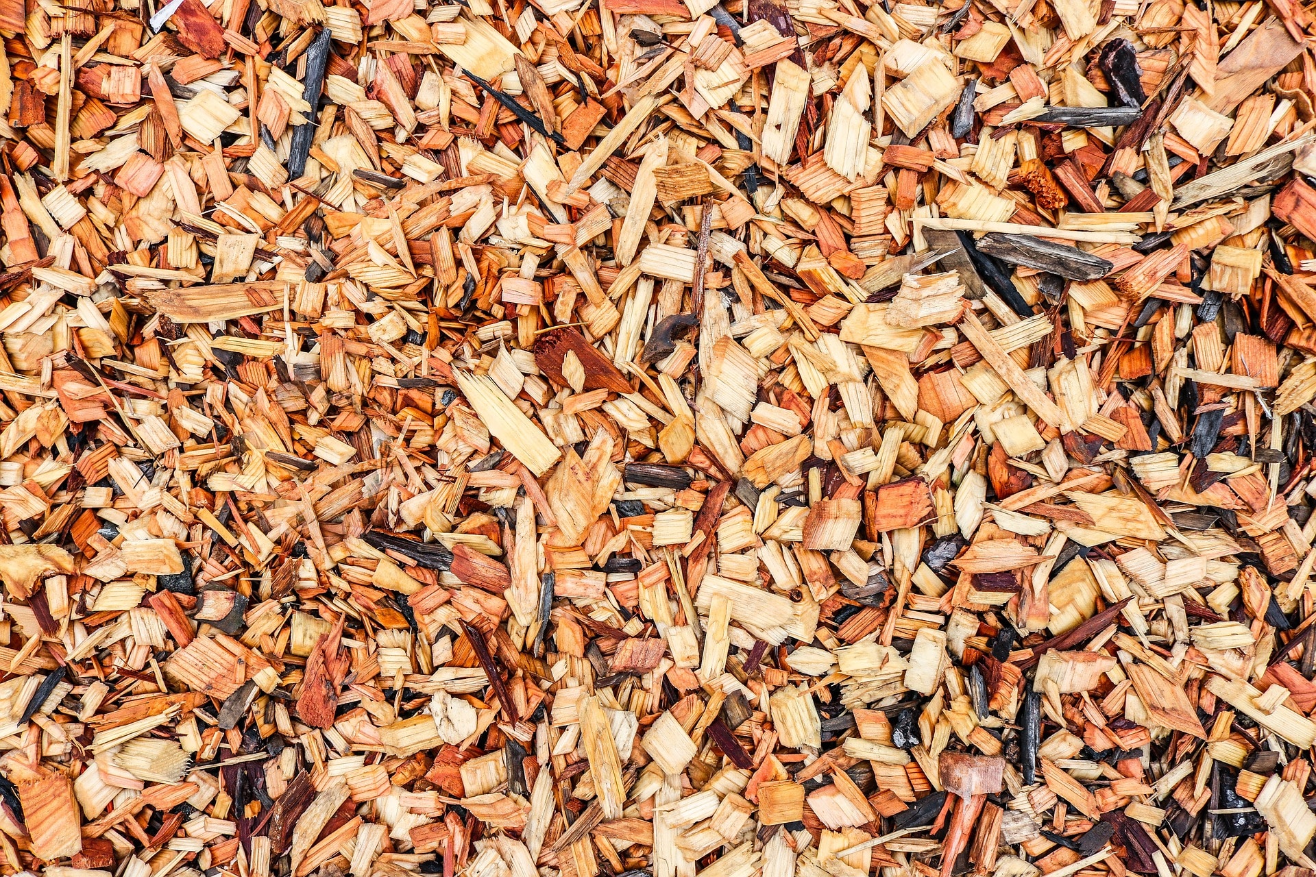 How Much Mulch Should You Use Around Trees? Mulch Volcano vs Donut ...